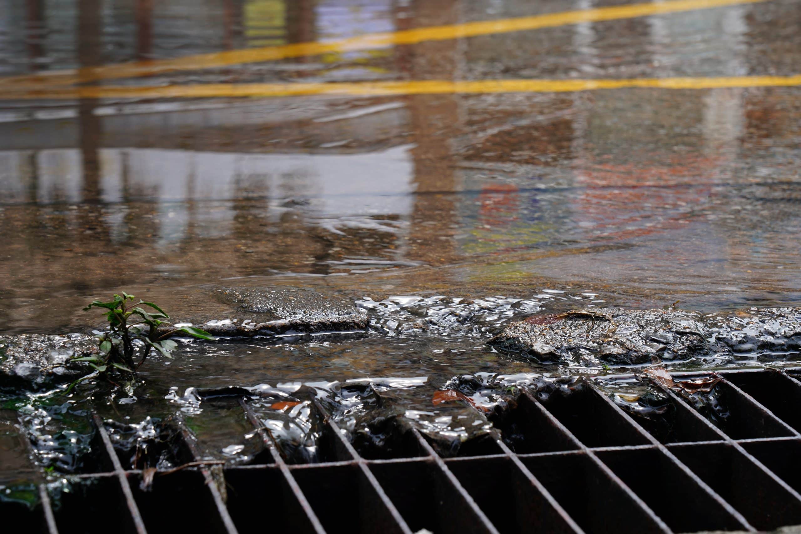 Surface Water - Peak Associates